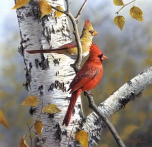 16 Trees That Bring Birds Flocking to Your Yard - Complete Gardening