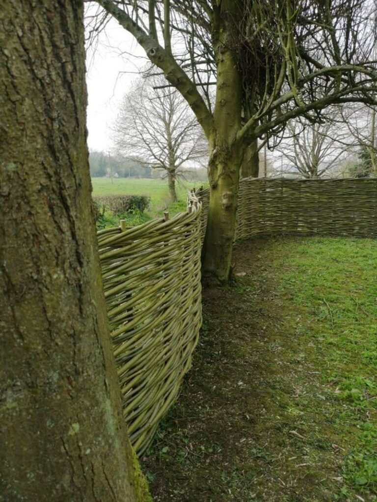 12 Living Fences and Natural Borders: Beautiful Alternatives to Wood ...