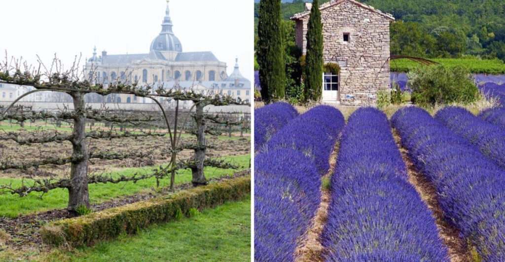 French Potager Gardens: Elegant & Edible - Complete Gardening