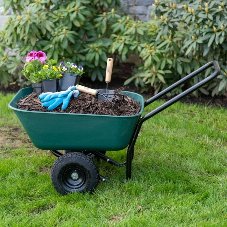 20 Garden Tools You Actually Need - Complete Gardening
