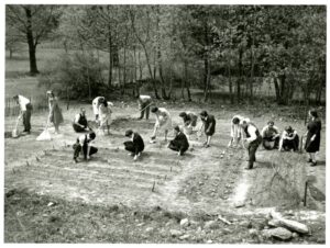 WWII Victory gardens from the 1940s: How people planted them, and how ...