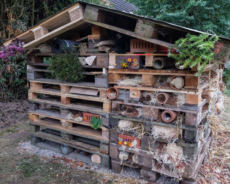 Build Your Own Bug Hotel: Here’s How - Complete Gardening