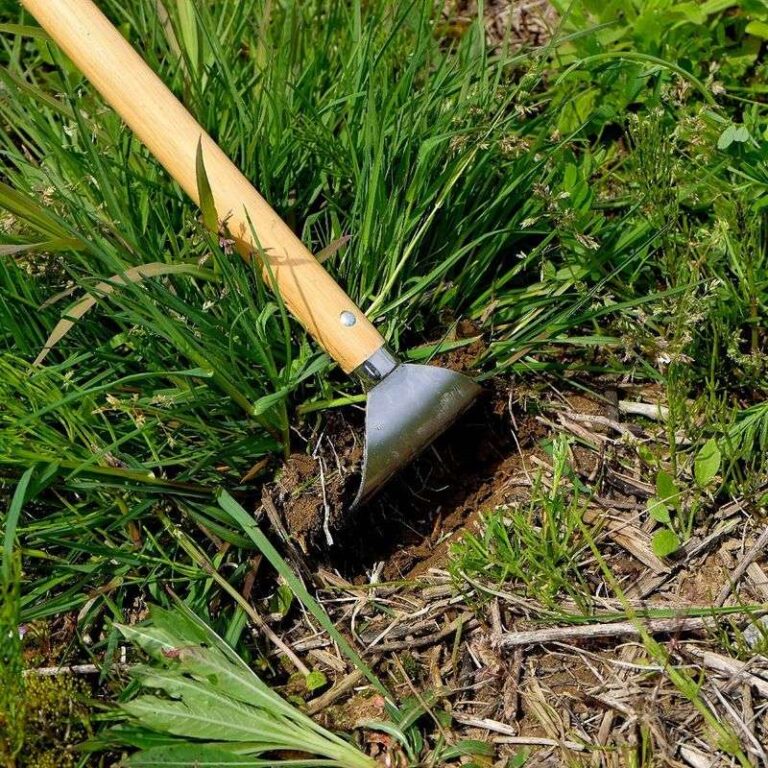 23 Garden Tools You Actually Need (And Which to Skip) - Complete Gardening