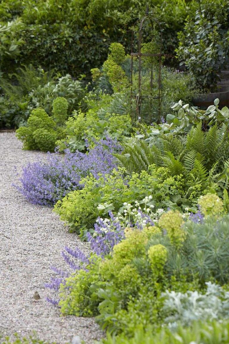15 Shocking Problems Caused by Cramming Too Many Plants Together ...