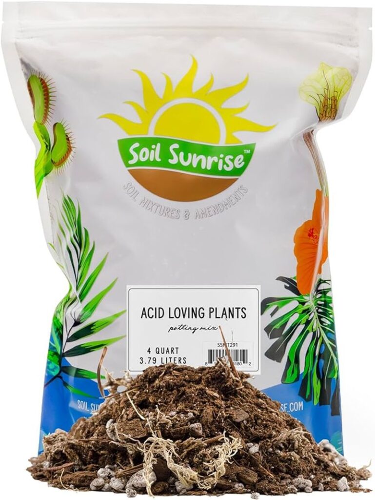 Best Homemade Soil Mixes for Raised Beds - Complete Gardening