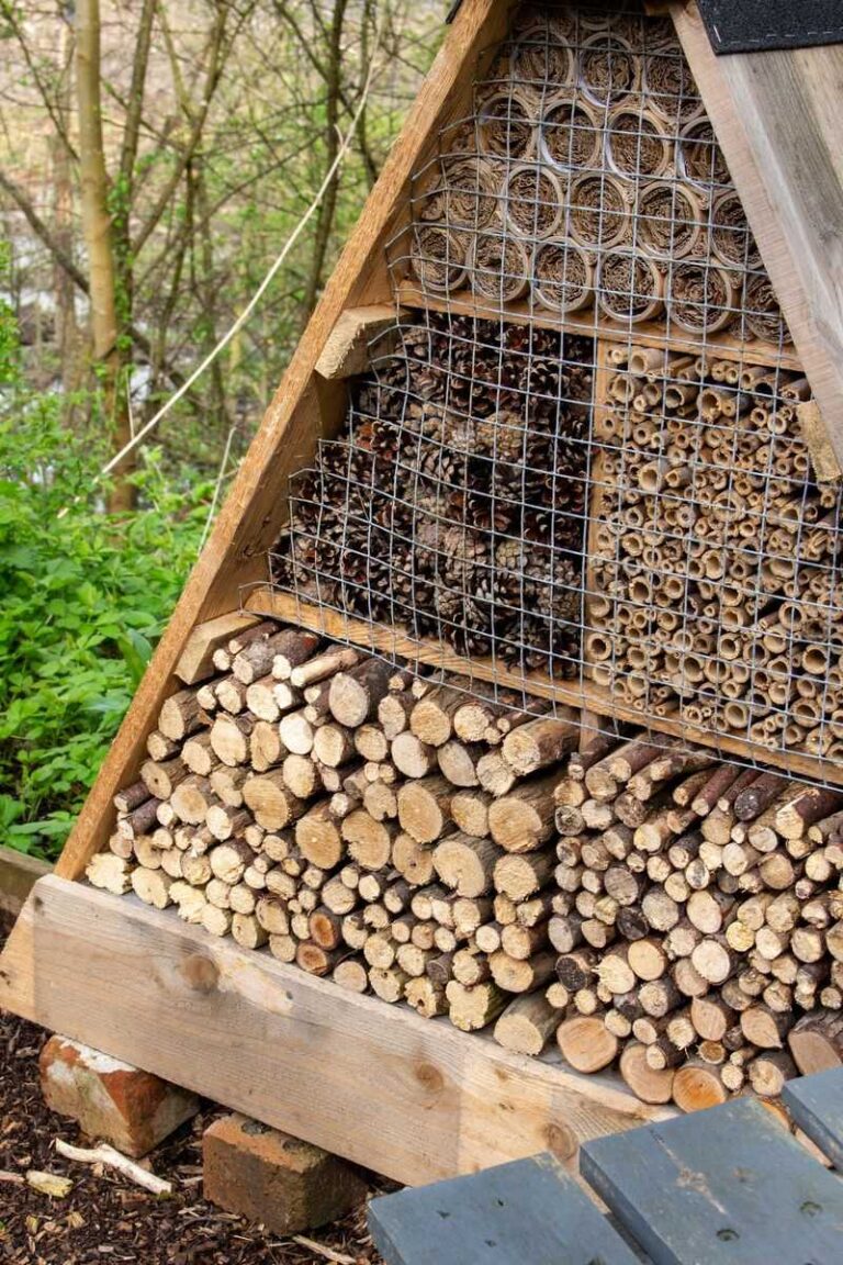 Build Your Own Bug Hotel: Here’s How - Complete Gardening