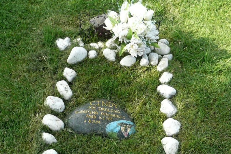 16 Reasons Why Backyard Pet Burials Are a Terrible Idea - Complete Gardening