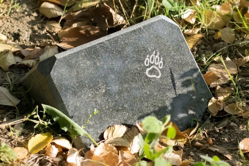 16 Reasons Why Backyard Pet Burials Are a Terrible Idea - Complete Gardening