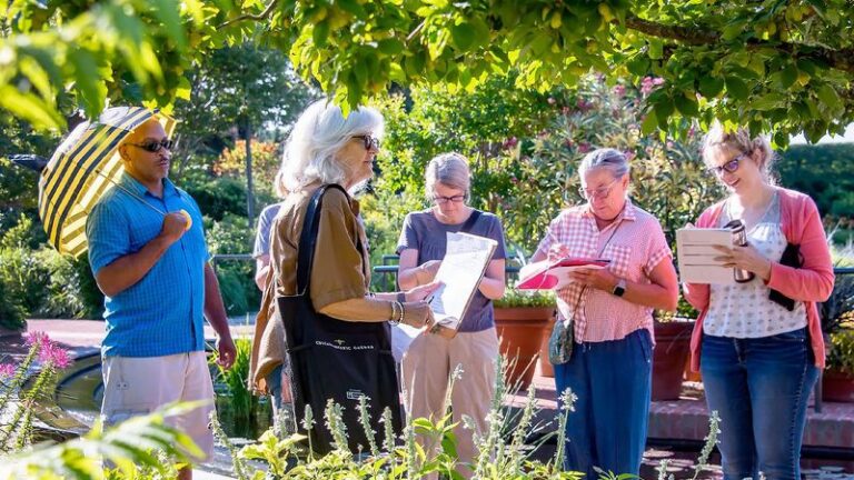 Get a Green Thumb for Free: The Best No-Cost Gardening Programs Every ...
