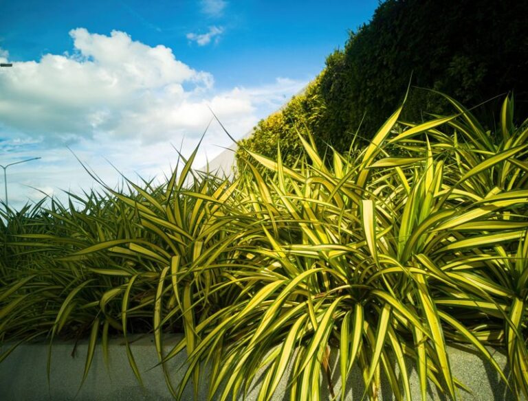 Waterlogged? These 10 Plants Absolutely Love Wet Soil - Complete Gardening
