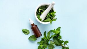 What You Didn’t Know About Mint (And Why It’s Dangerous) - Complete ...