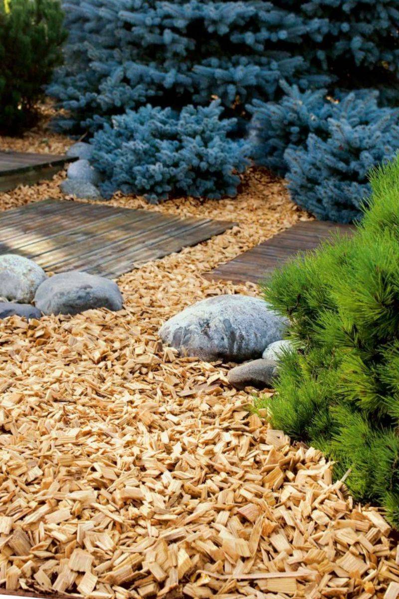 25 Alternatives to Landscape Fabric (Including a Few You Won’t Believe ...