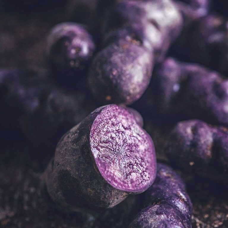 25 Purple Vegetables: Top Varieties to Grow - Complete Gardening