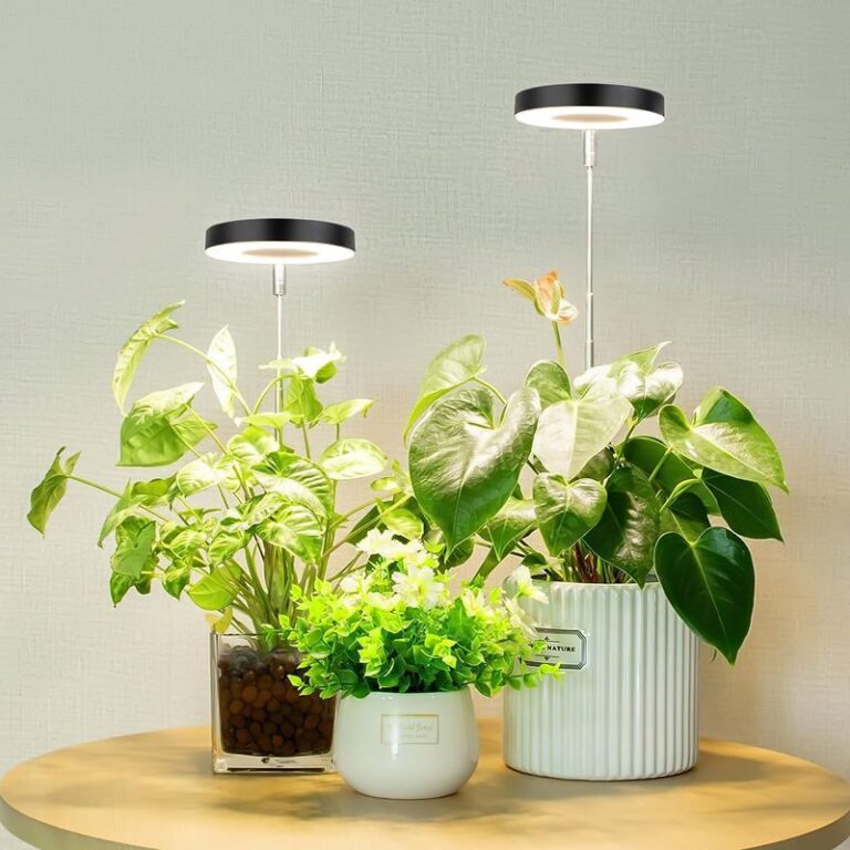 17 Things to Try Before You Give Up on That Old, Overgrown Plant ...