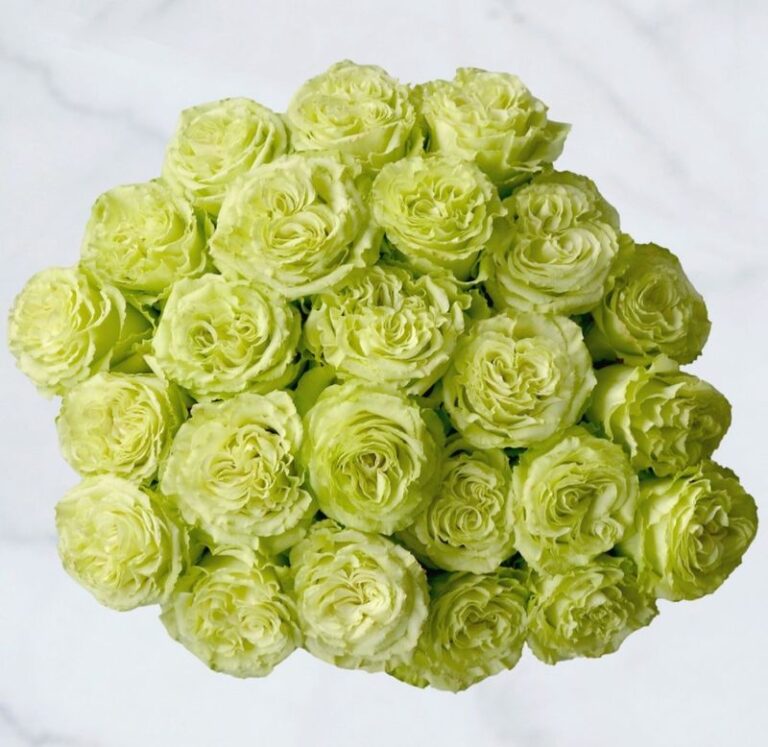 Romantic Roses and Their Secret Meanings - Complete Gardening