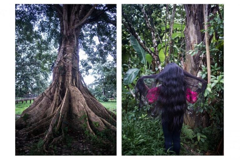 Plants That "Bleed" When Cut—And What It Means - Complete Gardening