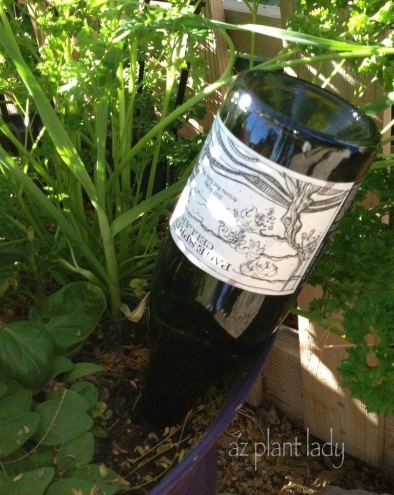 20 Genius Tips That Make Watering Your Plants 10x Easier - Complete ...