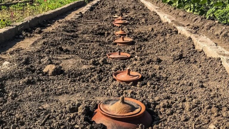 20 Genius Tips That Make Watering Your Plants 10x Easier - Complete ...