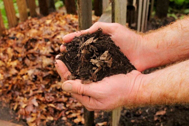 How to Test Your Soil Without a Lab - Complete Gardening