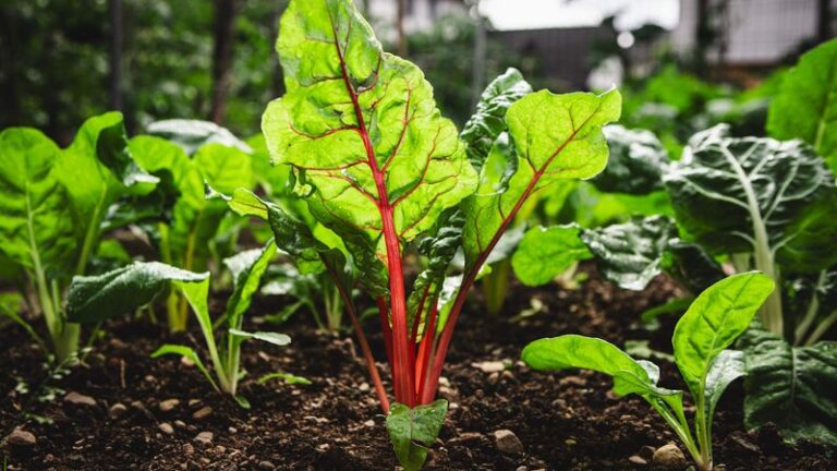 22 Vegetables That Keep Regrowing After You Harvest Them (And 5 More ...