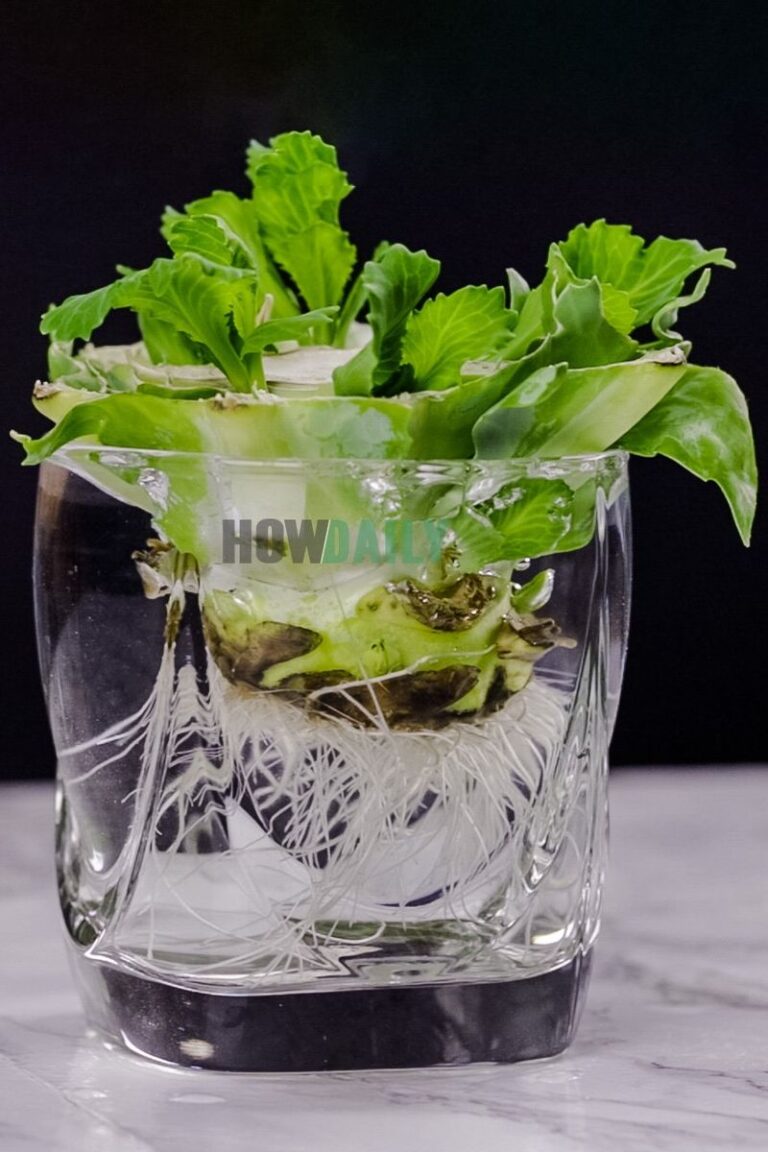 22 Vegetables That Keep Regrowing After You Harvest Them (And 5 More ...