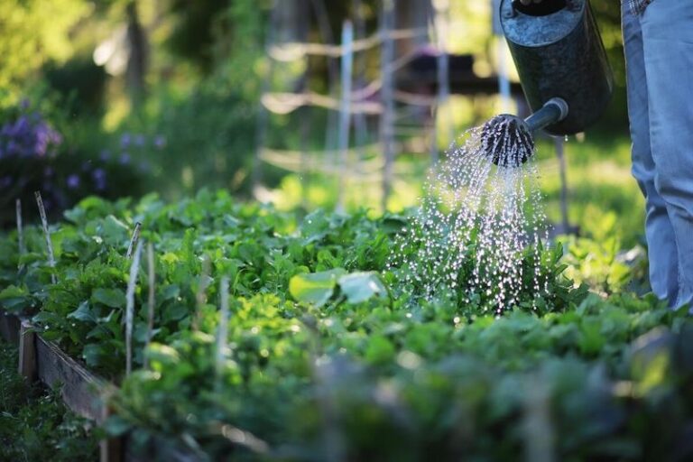 20 Tips for Watering Your Garden More Effectively - Complete Gardening