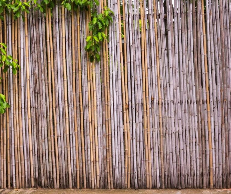 15 Clever Ways to Keep Your Garden Alive During Extreme Heat Waves ...
