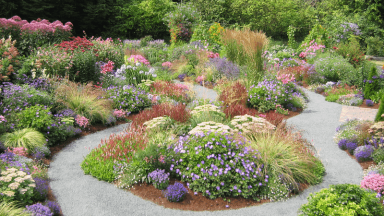 What is an island bed? This clever garden design trick can add privacy ...