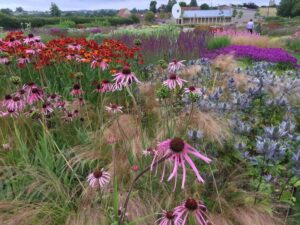 7 Reasons Matrix Planting Is the Future of Low-Maintenance Gardening ...