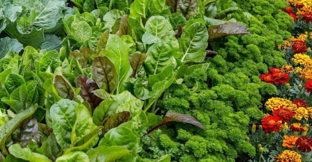 10 Things That Make Root Crops Thrive — And 5 That Do the Opposite ...