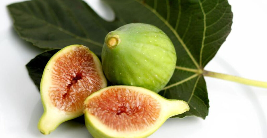 11 Fig Facts That Actually Work - Complete Gardening
