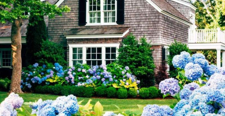 15 Plants That Add Year-Round Color to Your Garden - Complete Gardening