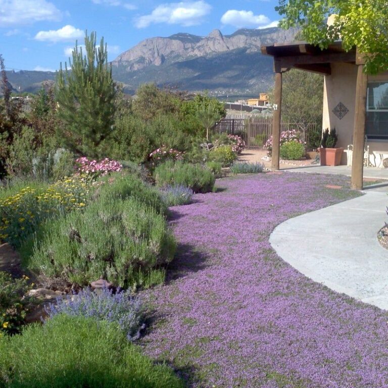 16 Ground Covers That Replace Mulch and Look Better Doing It - Complete ...