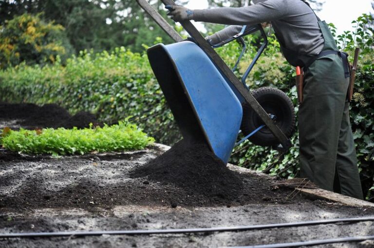 17 Essential Soil Ingredients You Should Add To Your Raised Beds ...