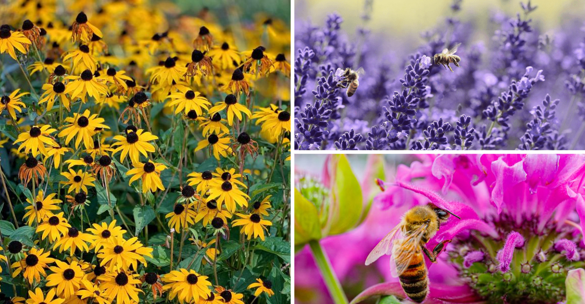 19 Perennial Flowers Have One Secret — They Keep Bees Coming Back All ...