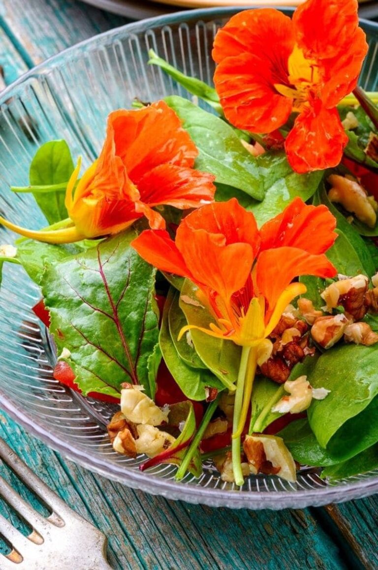 20 Edible Flowers and Herbs That Make Stunning Food Garnishes ...