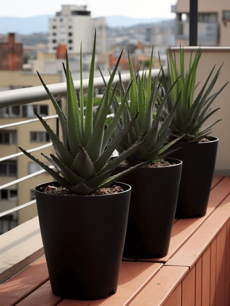 21 Refreshing Plants to Keep Your Balcony Cool and Lush This Summer ...