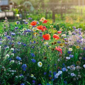 26 Naturalistic Garden Design Ideas To Turn Your Backyard Into A ...