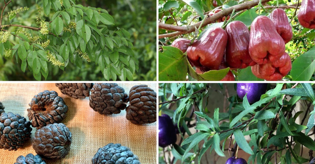 31 Types Of Fruits That Went Extinct (And What We Lost Forever ...