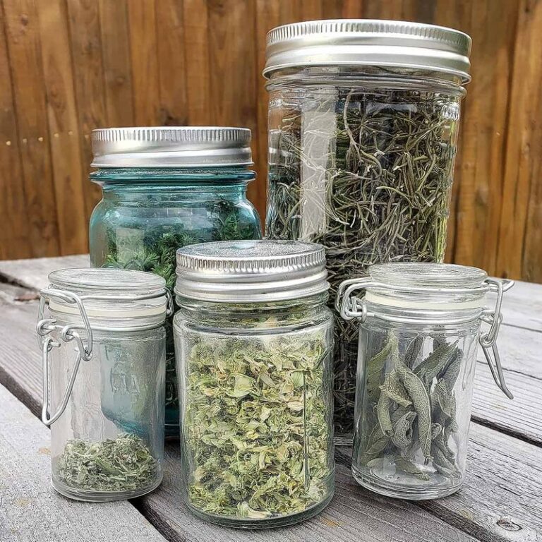 How To Store Fresh Herbs From The Garden: 10 Best Methods To Maximize ...