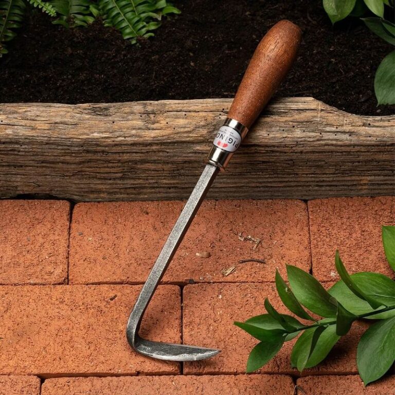 15 Easy Tricks To Wipe Out Creeping Charlie Weed - Complete Gardening