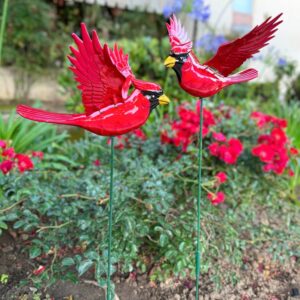 23 Cardinal Secrets That Turn Any Yard Into a Red Bird Paradise ...