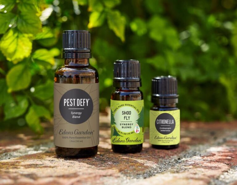 June Bug Invasion? These 17 Non-Toxic Tricks Actually Work - Complete ...