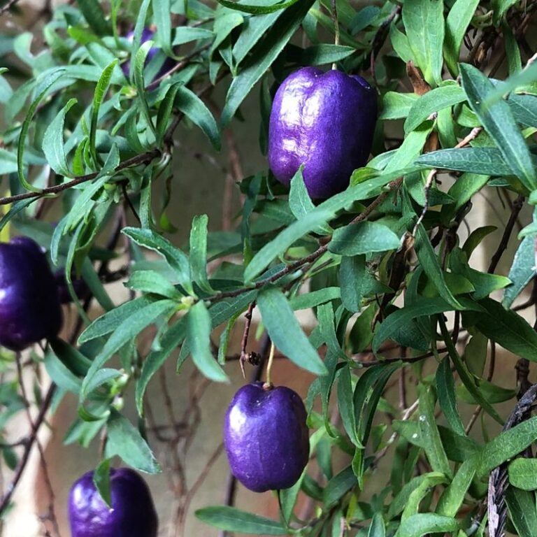 31 Types Of Fruits That Went Extinct (And What We Lost Forever ...