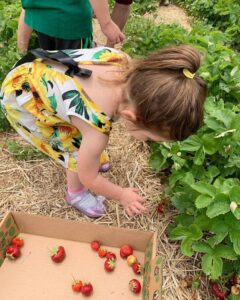20 Kid-Friendly Plants Perfect for a Playground Garden - Complete Gardening