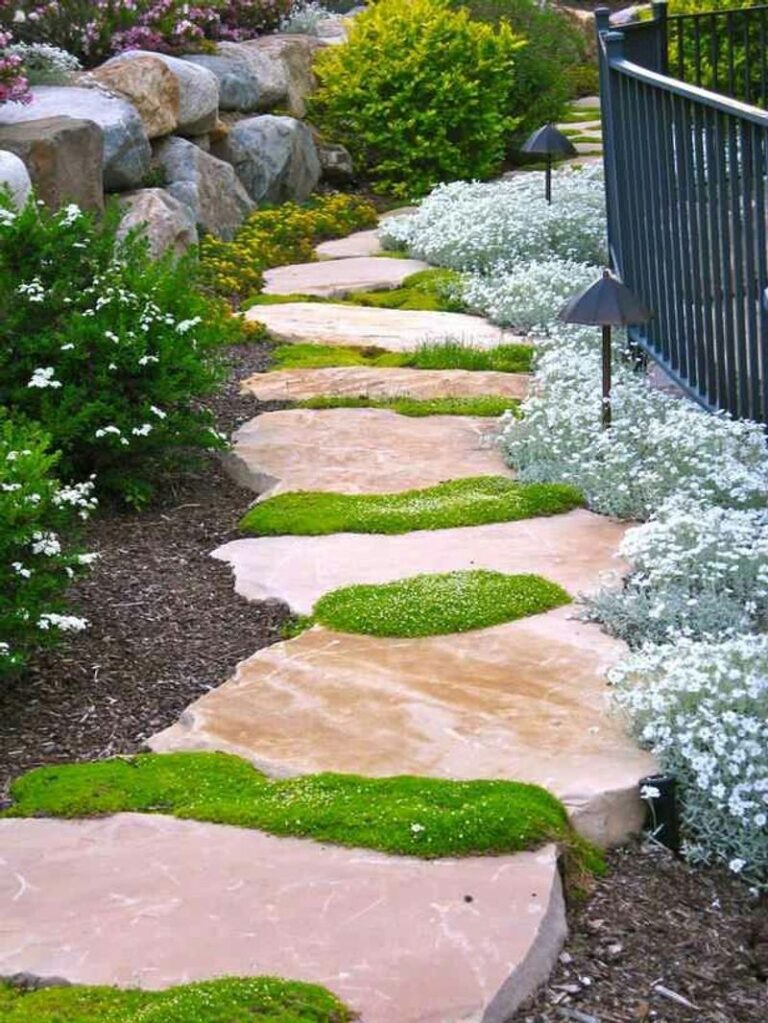 15 Genius Ideas for Planting Between Stepping Stones - Complete Gardening