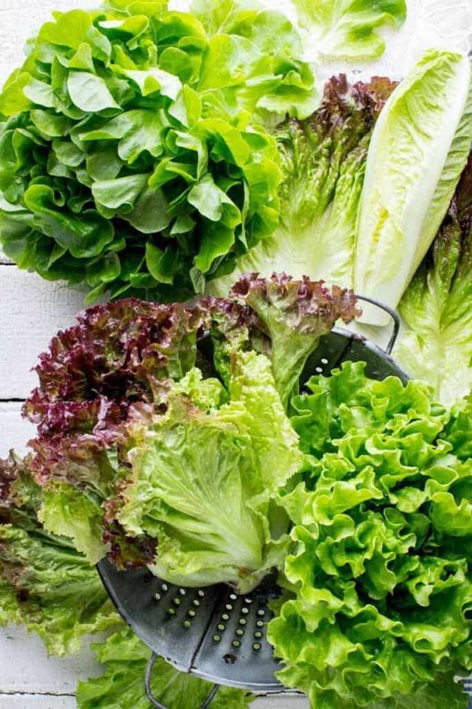 25 Garden Veggies That Boost Immunity (And the 7 That Don’t Do Much ...