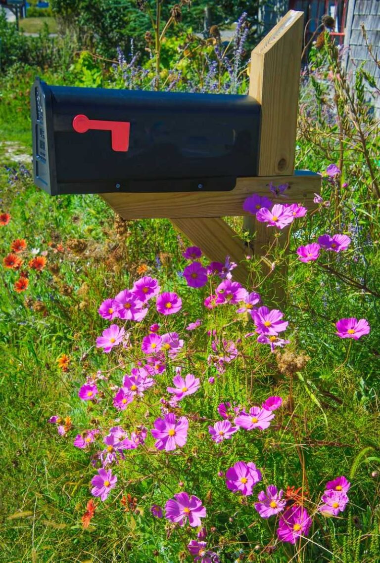 15 Gorgeous Flowers That Will Turn Your Mailbox into a Floral ...