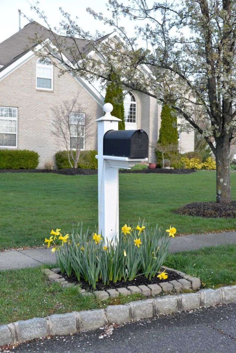 15 Gorgeous Flowers That Will Turn Your Mailbox into a Floral ...