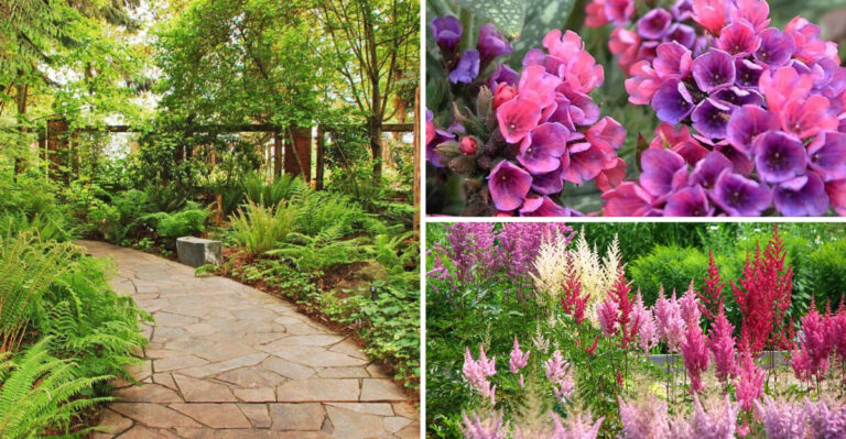 Don’t Let Your Shady Spots Go Bare — Plant These 25 Shade Lovers Now ...